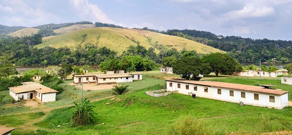 Planet Of The Apes - PILOT GUIDES