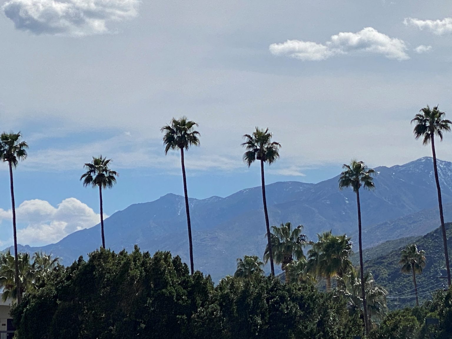 Palm Springs‘ Desert Oases - PILOT GUIDES