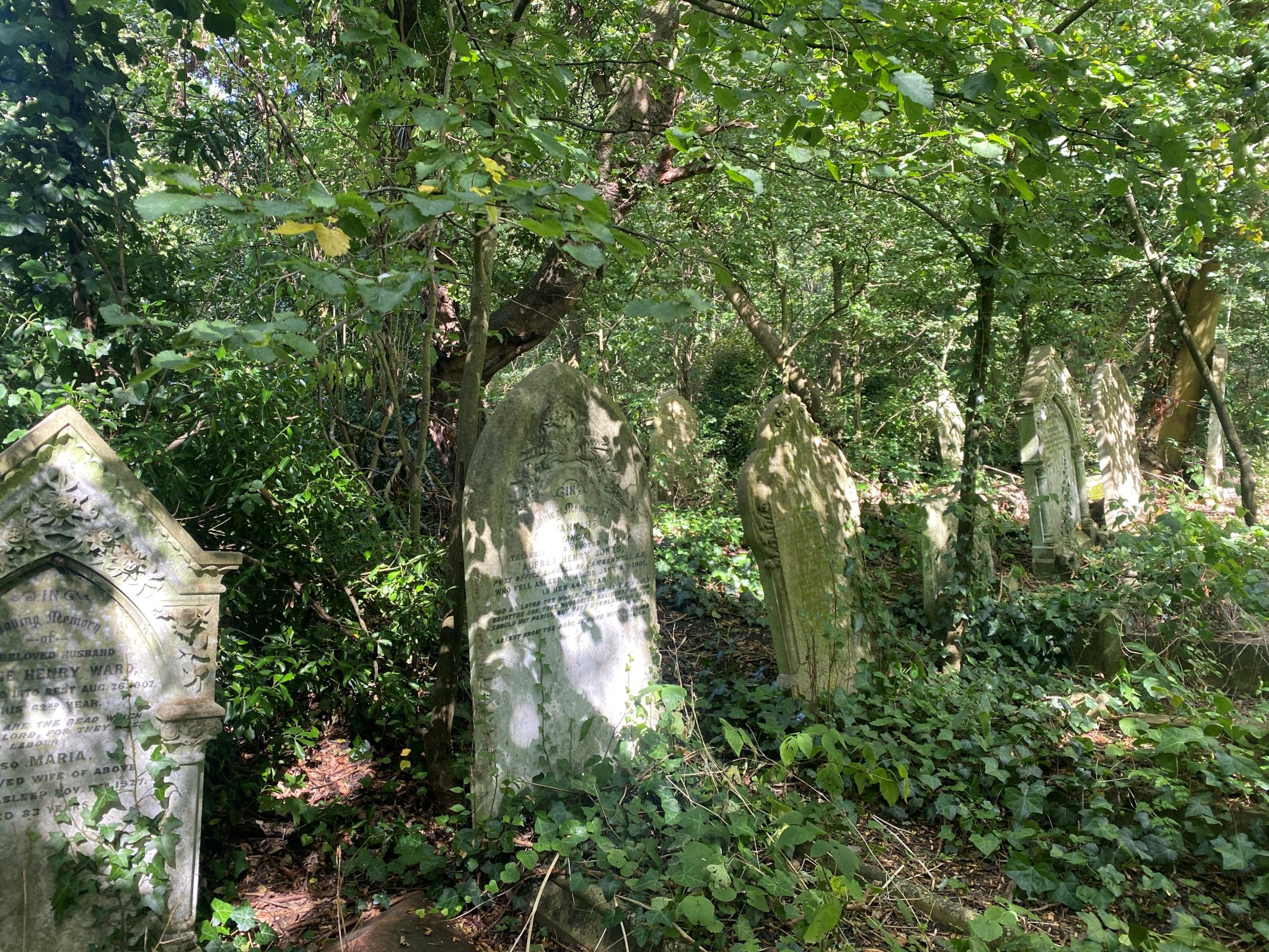 The Magnificent Seven: London’s Victorian Cemeteries - PILOT GUIDES