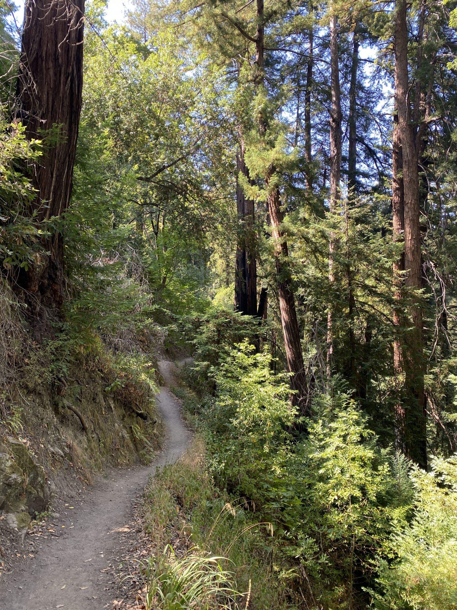 Six Top Destinations in Northern California - PILOT GUIDES