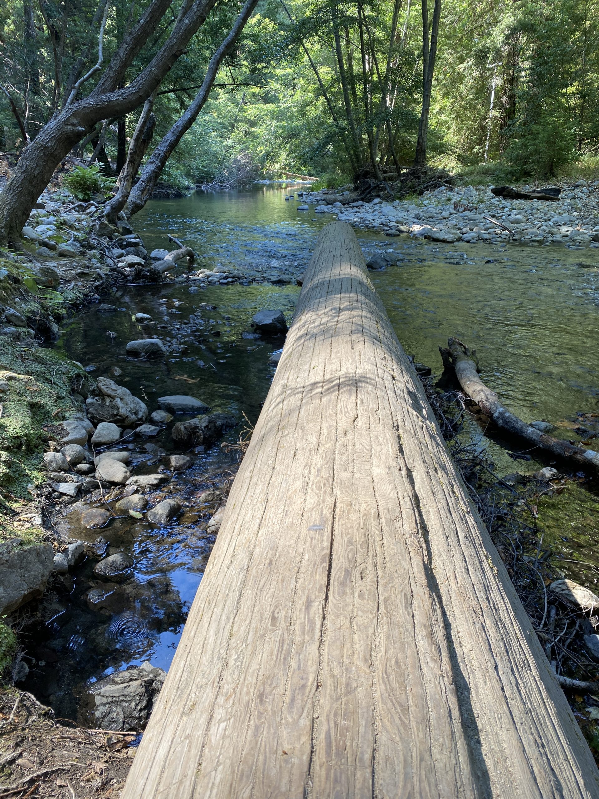 Six Top Destinations in Northern California - PILOT GUIDES